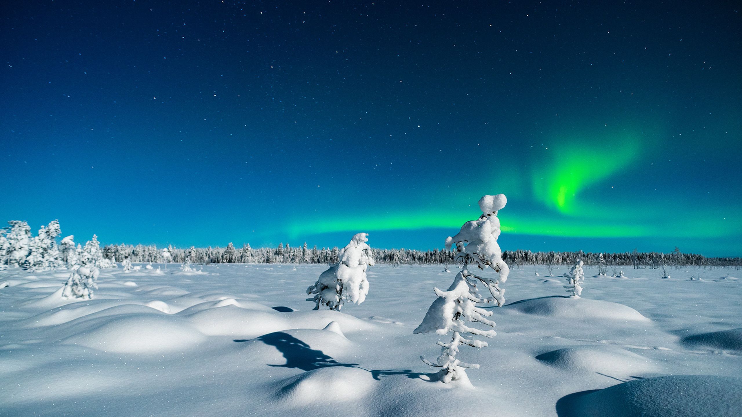 Sweden Winter Wallpapers - Top Free Sweden Winter Backgrounds ...