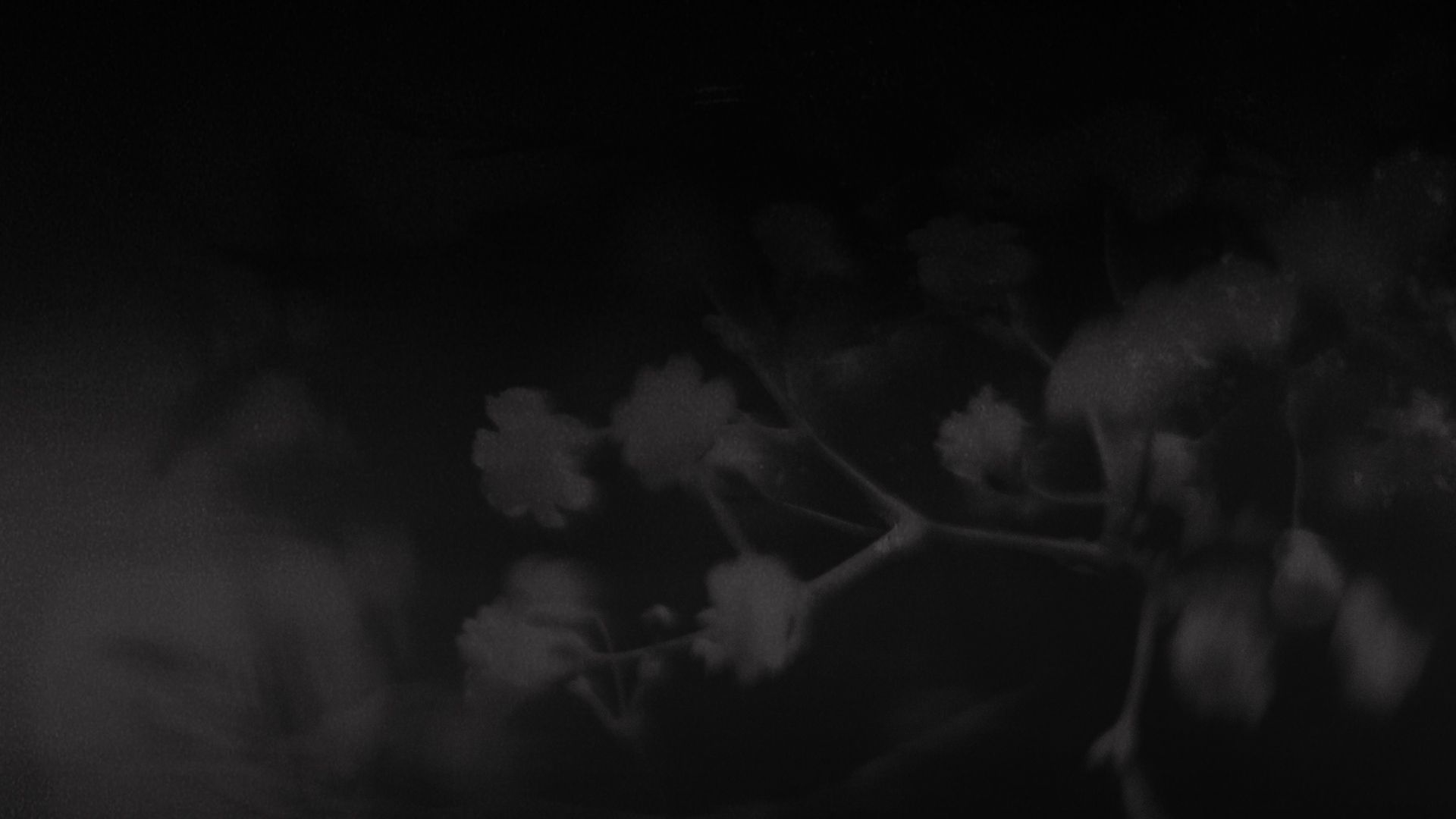 Church Worship Wallpapers - Top Free Church Worship Backgrounds ...