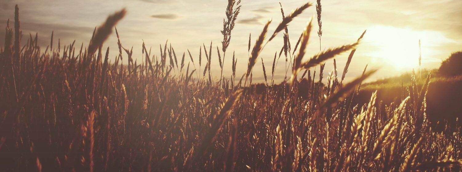 Church Worship Wallpapers - Top Free Church Worship Backgrounds ...