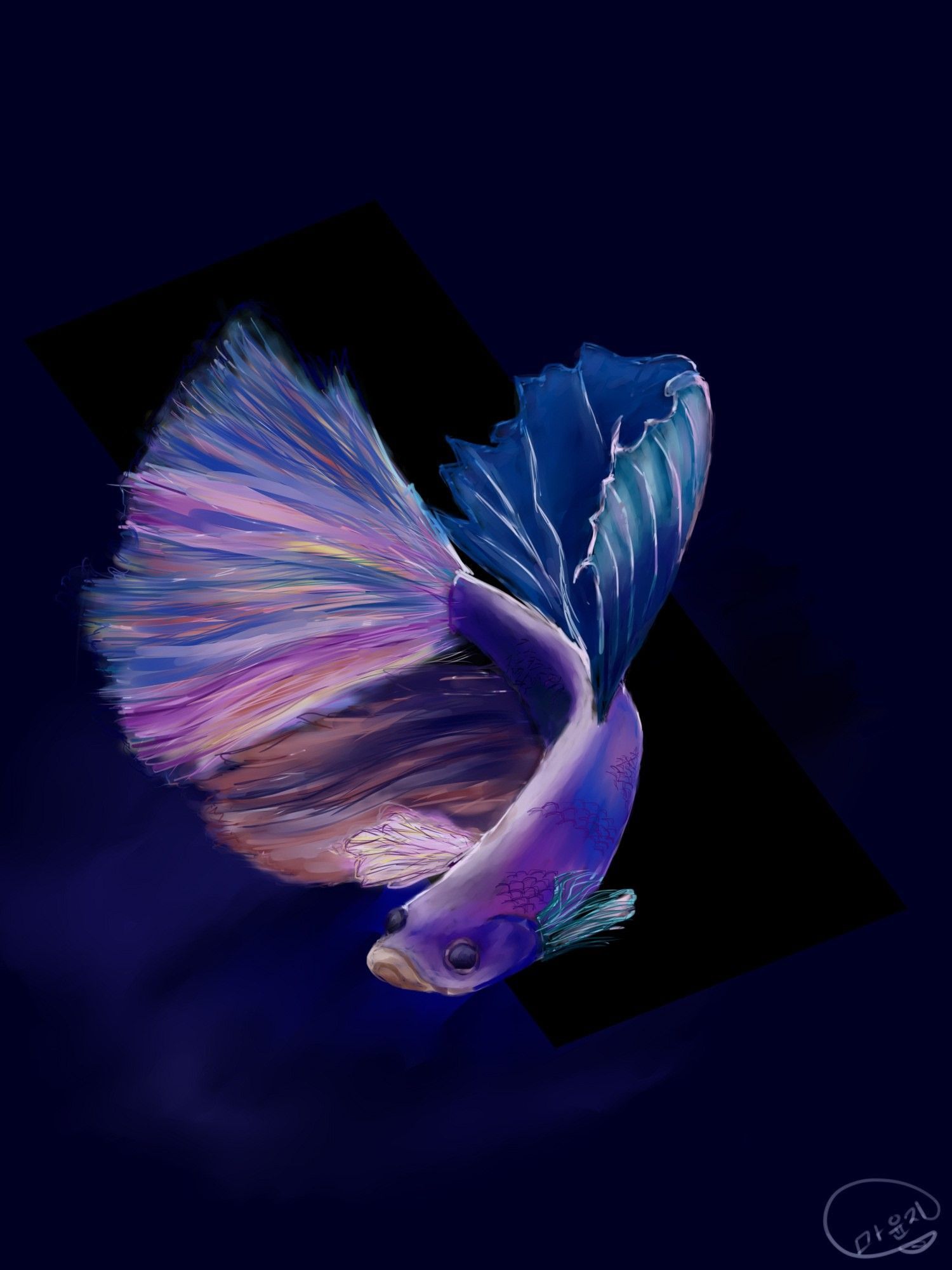 Purple Fish Wallpapers - Top Free Purple Fish Backgrounds - WallpaperAccess