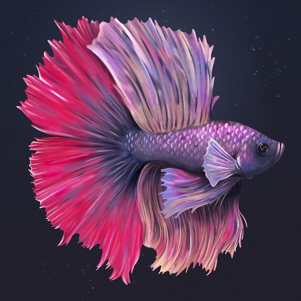 Purple Fish Wallpapers - Top Free Purple Fish Backgrounds - WallpaperAccess