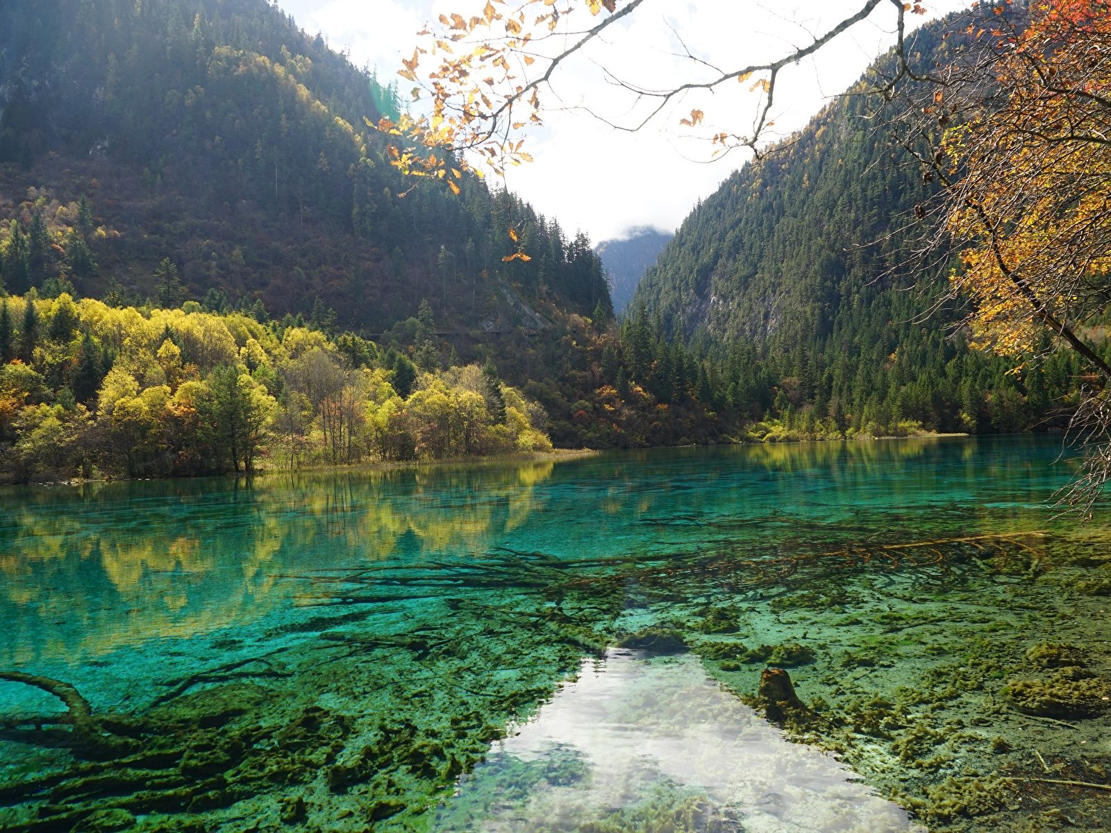 Sichuan Wallpapers - Top Free Sichuan Backgrounds - WallpaperAccess