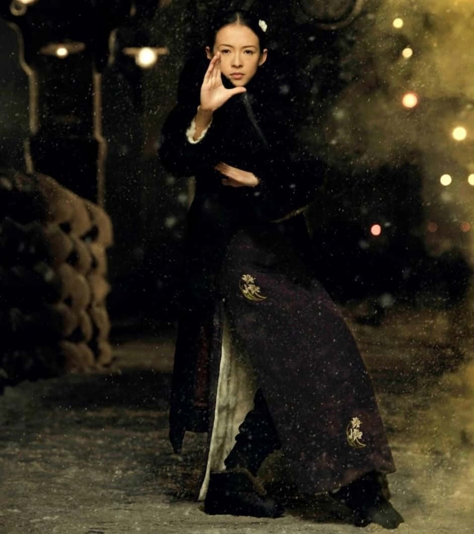 The Grandmaster Wallpapers - Top Free The Grandmaster Backgrounds ...