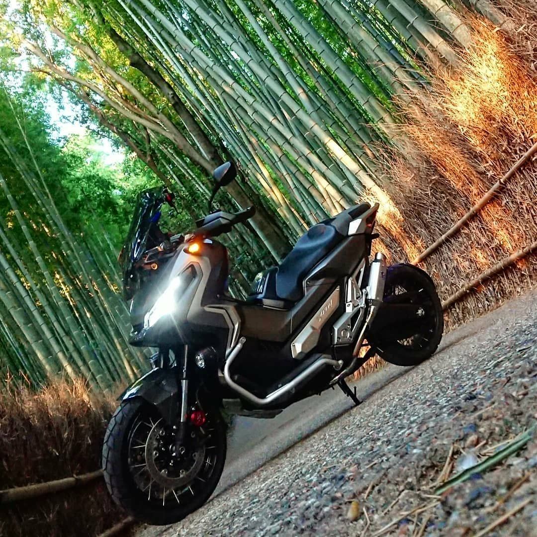 Honda X ADV Wallpapers - Top Free Honda X ADV Backgrounds - WallpaperAccess