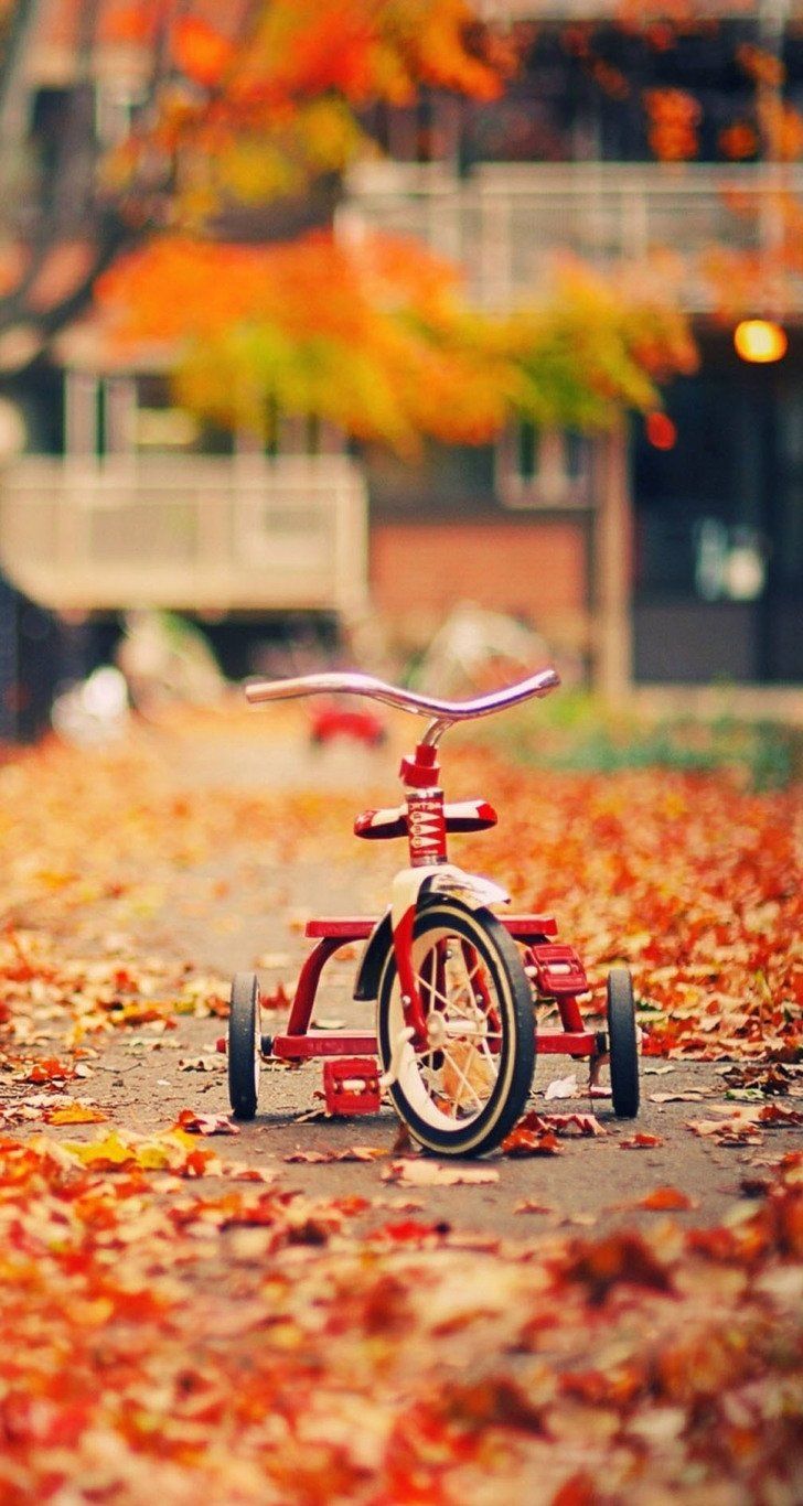 KGN Wallpapers - Top Free KGN Backgrounds - WallpaperAccess