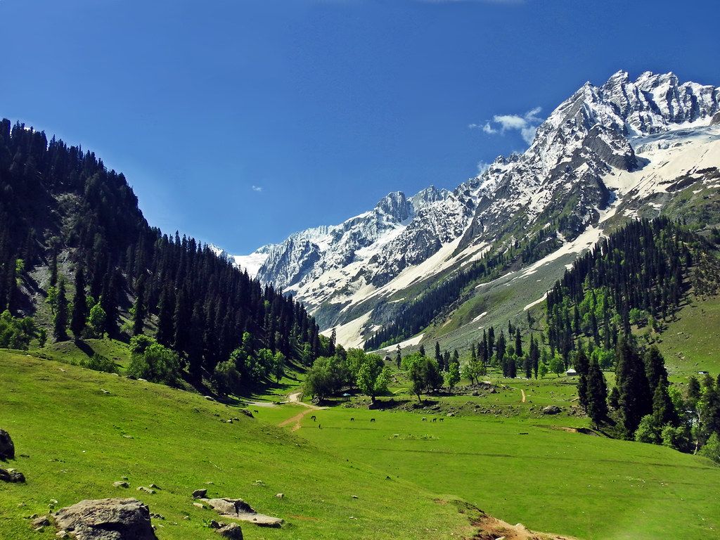 Sonmarg Wallpapers - Top Free Sonmarg Backgrounds - WallpaperAccess