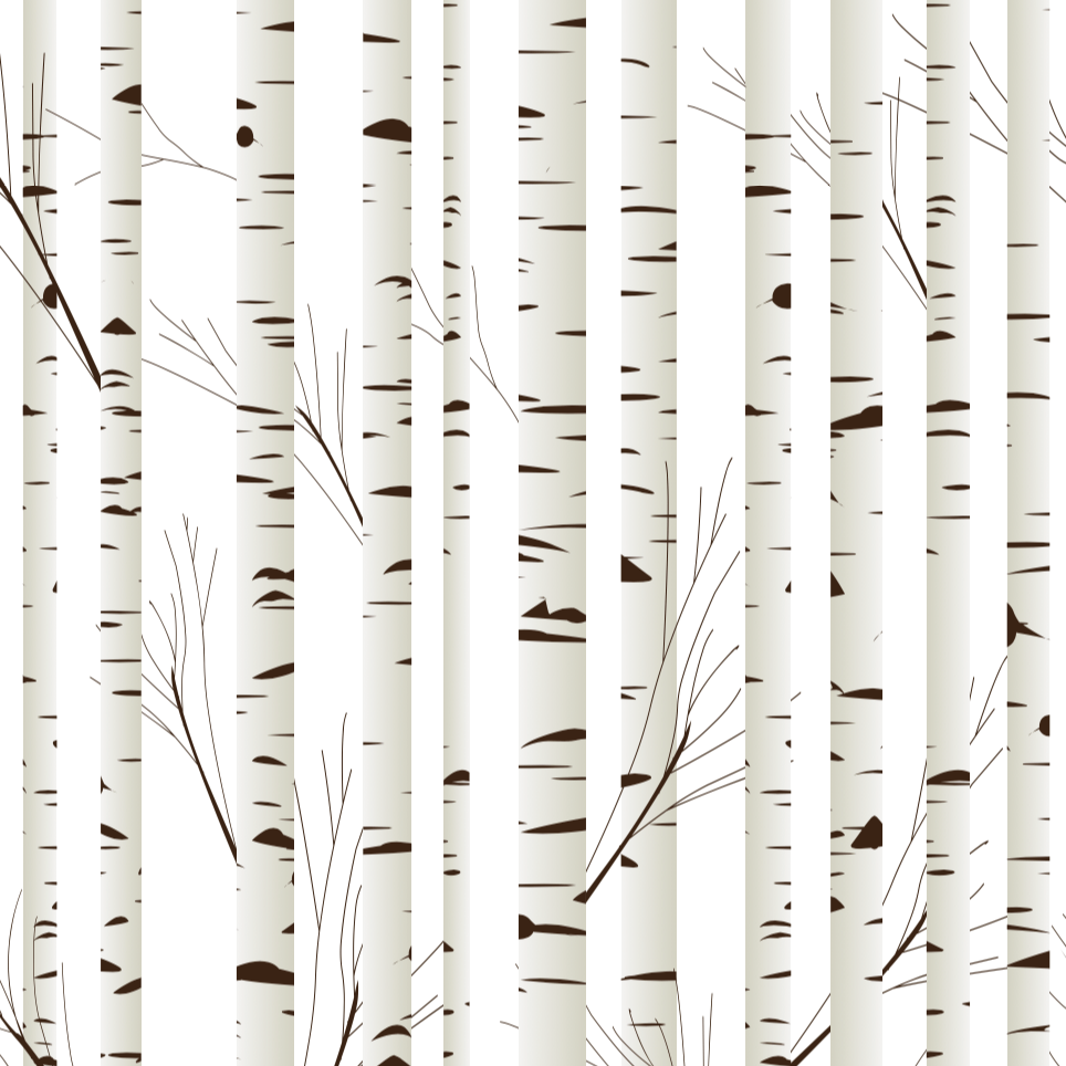 Birch Trees Wallpapers - Top Free Birch Trees Backgrounds - WallpaperAccess