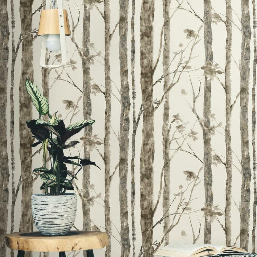 Birch Trees Wallpapers - Top Free Birch Trees Backgrounds - WallpaperAccess