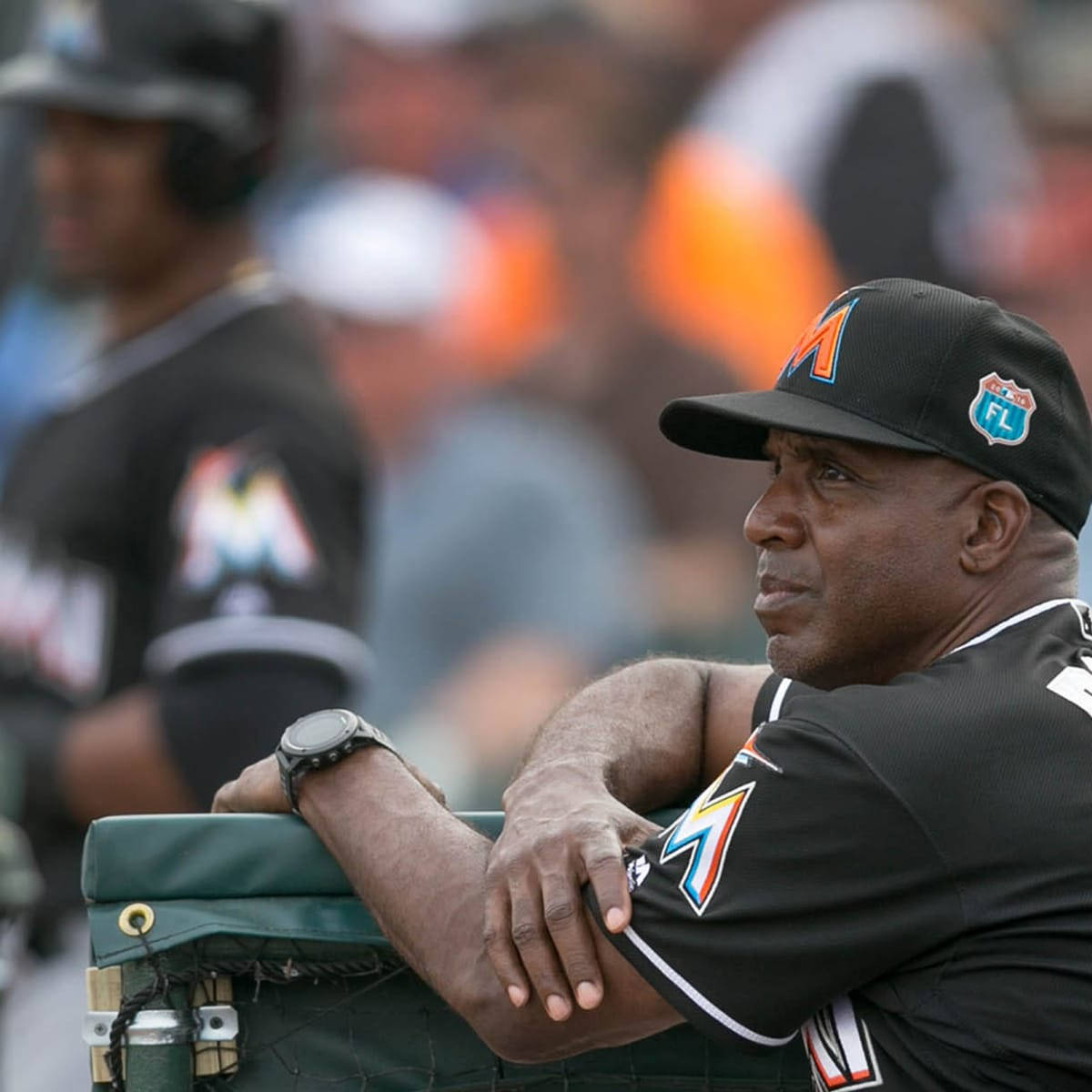 Barry Bonds Wallpapers - Top Free Barry Bonds Backgrounds - WallpaperAccess