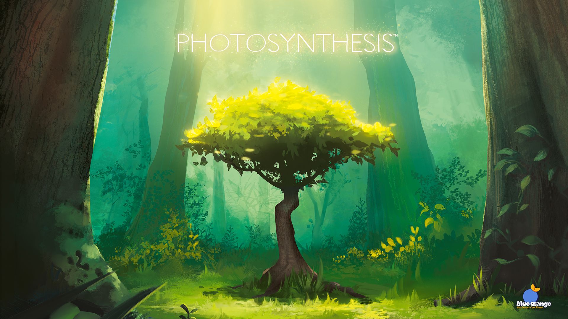 Photosynthesis Wallpapers - Top Free Photosynthesis Backgrounds ...