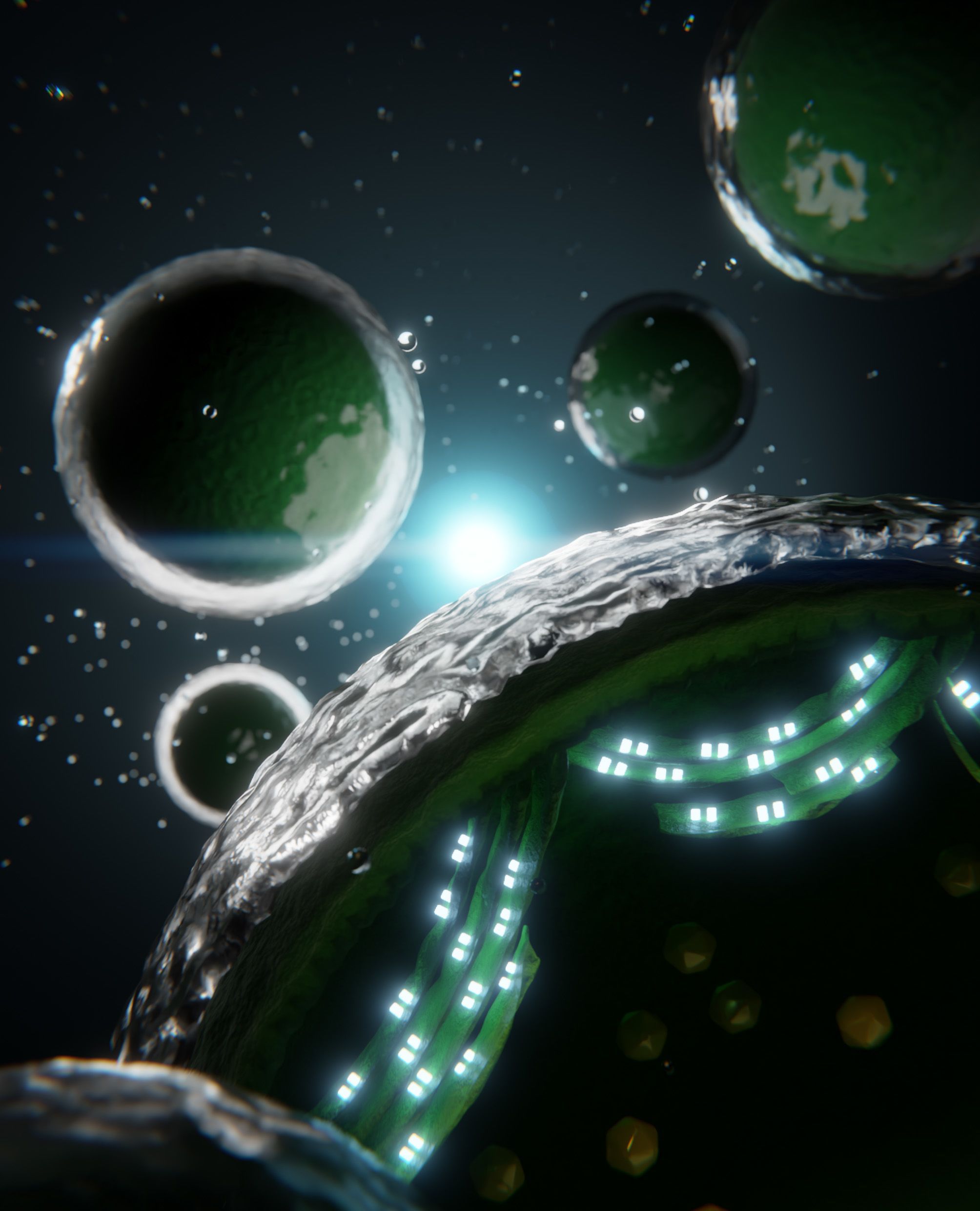 Photosynthesis Wallpapers - Top Free Photosynthesis Backgrounds ...