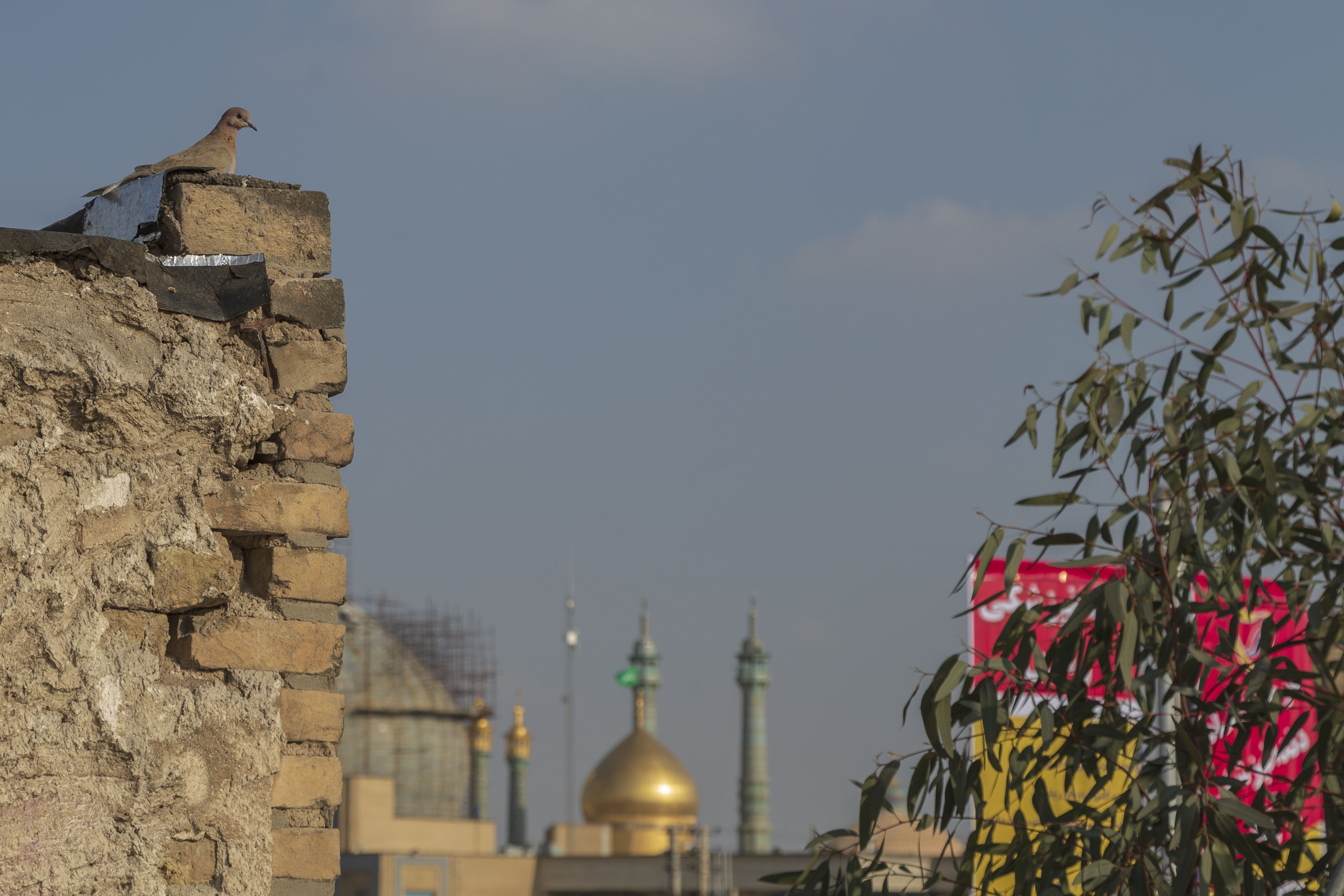 Qom Wallpapers - Top Free Qom Backgrounds - WallpaperAccess