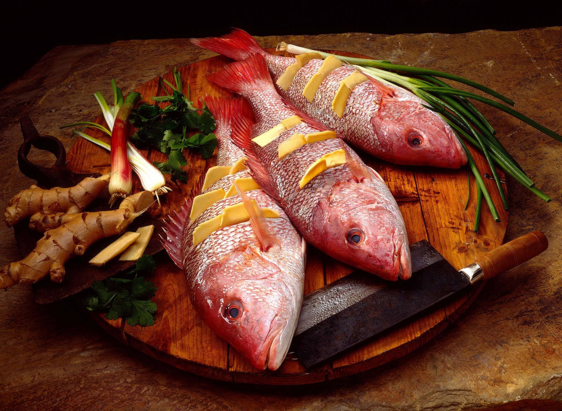 Fish Dish Wallpapers - Top Free Fish Dish Backgrounds - WallpaperAccess