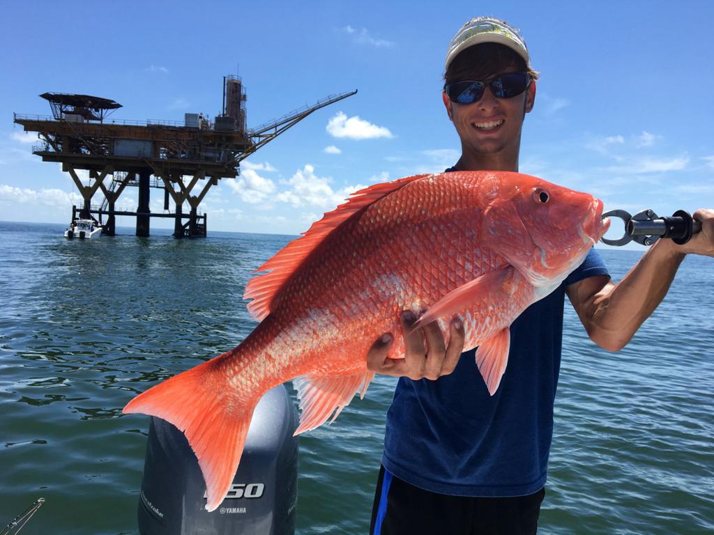 Snapper Wallpapers - Top Free Snapper Backgrounds - WallpaperAccess