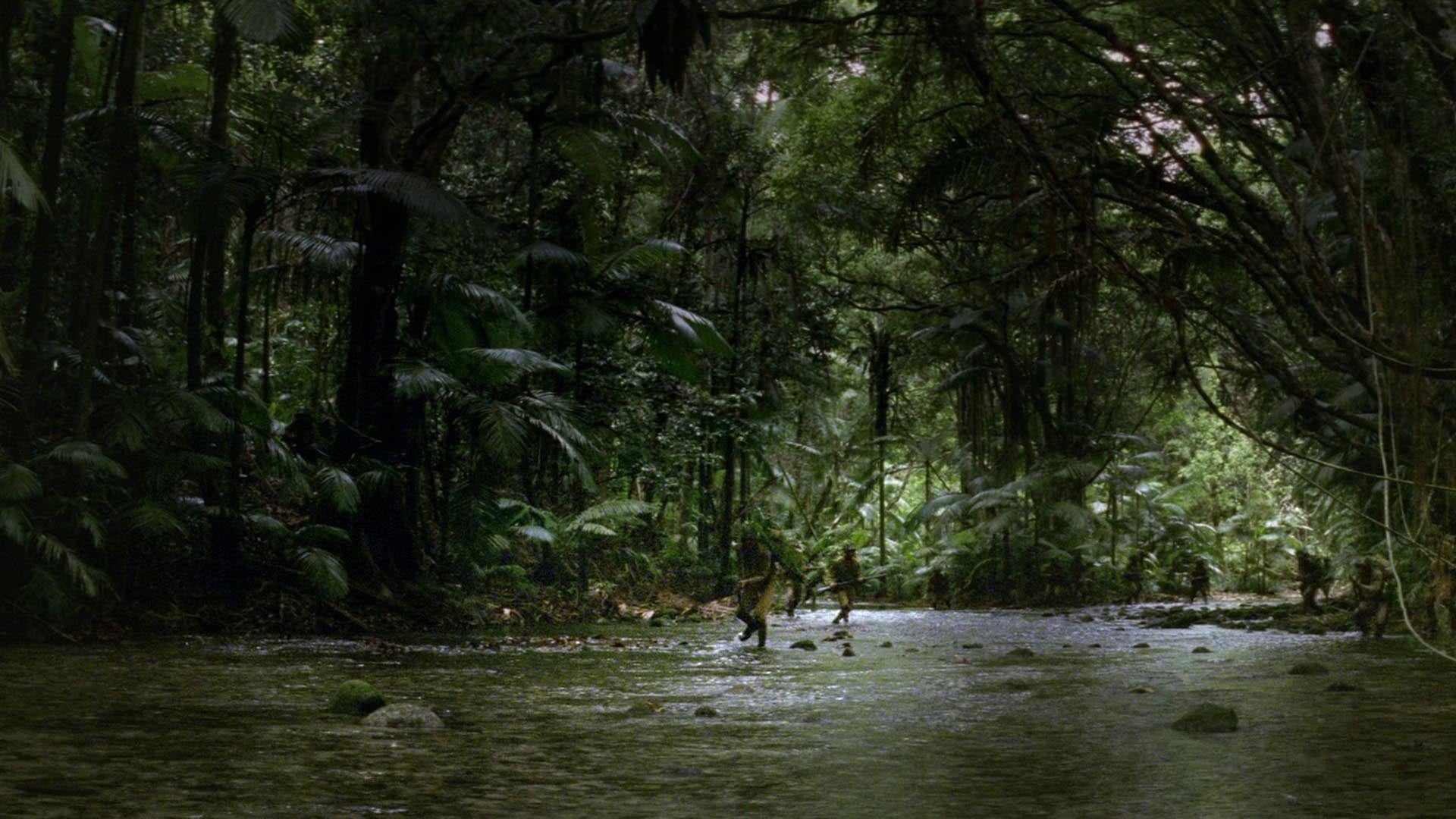 The Thin Red Line Wallpapers - Top Free The Thin Red Line Backgrounds ...