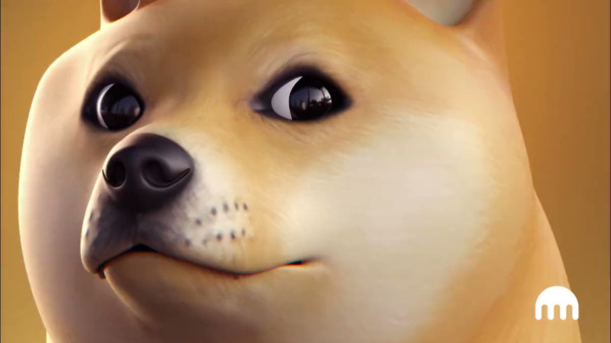 Doge Roblox Wallpapers - Top Free Doge Roblox Backgrounds - WallpaperAccess