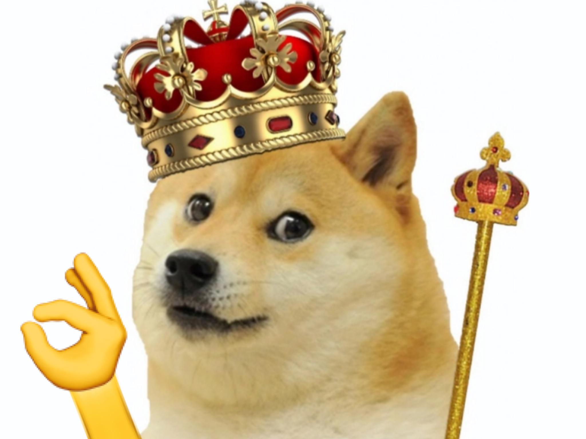 Doge Roblox Wallpapers - Top Free Doge Roblox Backgrounds - WallpaperAccess