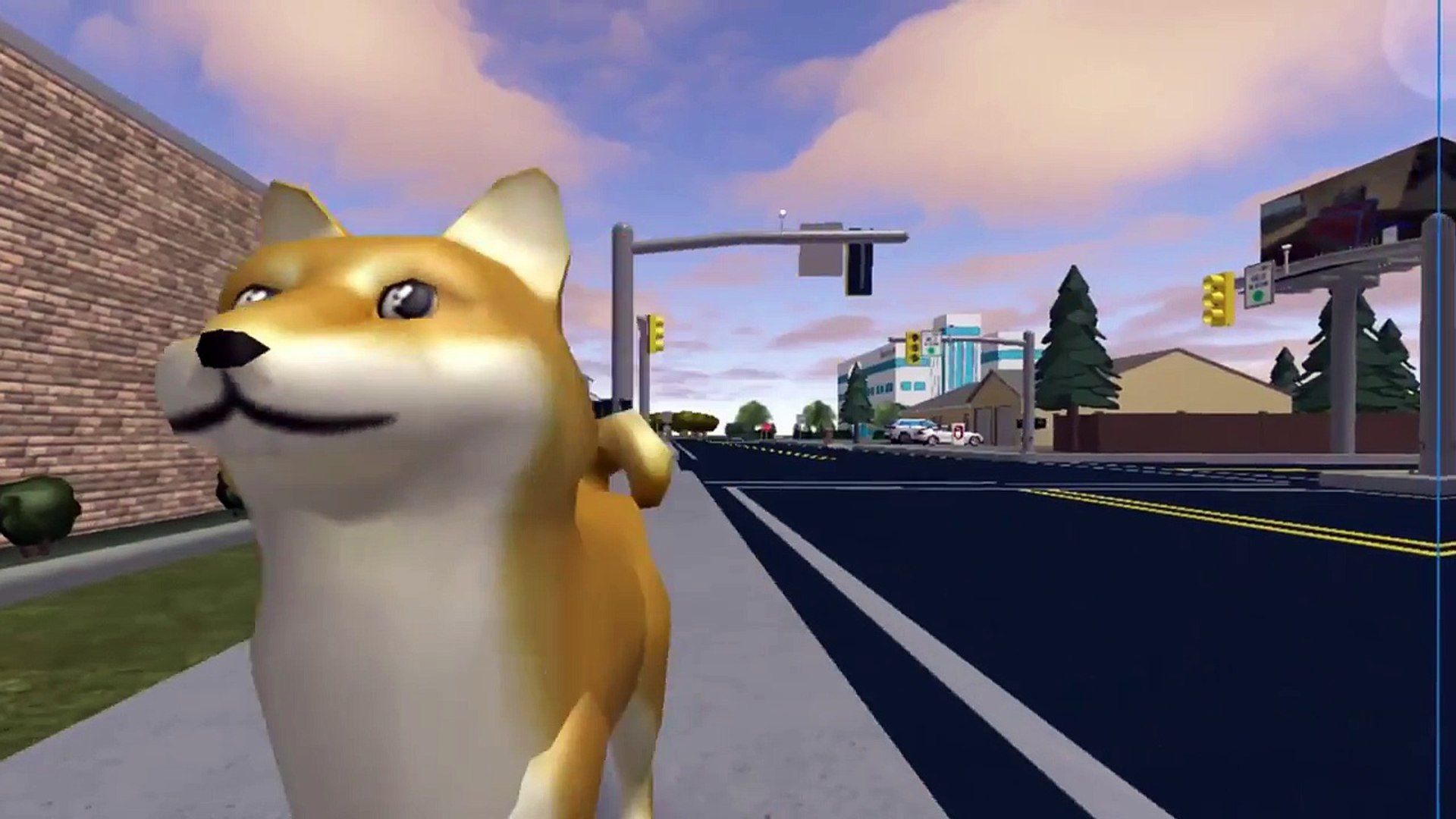 Doge Roblox Wallpapers - Top Free Doge Roblox Backgrounds - WallpaperAccess