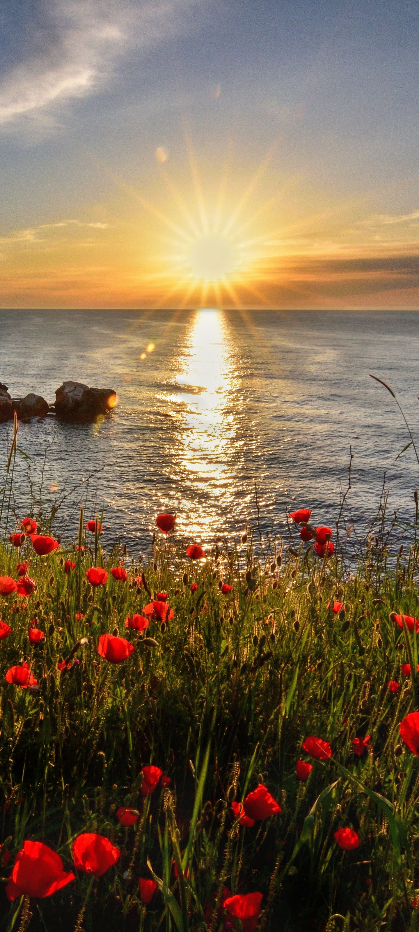 Sunrise Mobile Wallpapers - Top Free Sunrise Mobile Backgrounds ...