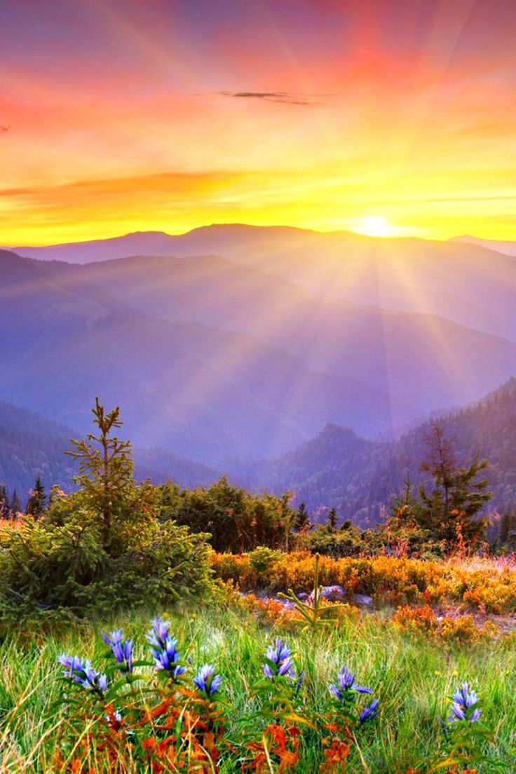 Sunrise Mobile Wallpapers - Top Free Sunrise Mobile Backgrounds ...