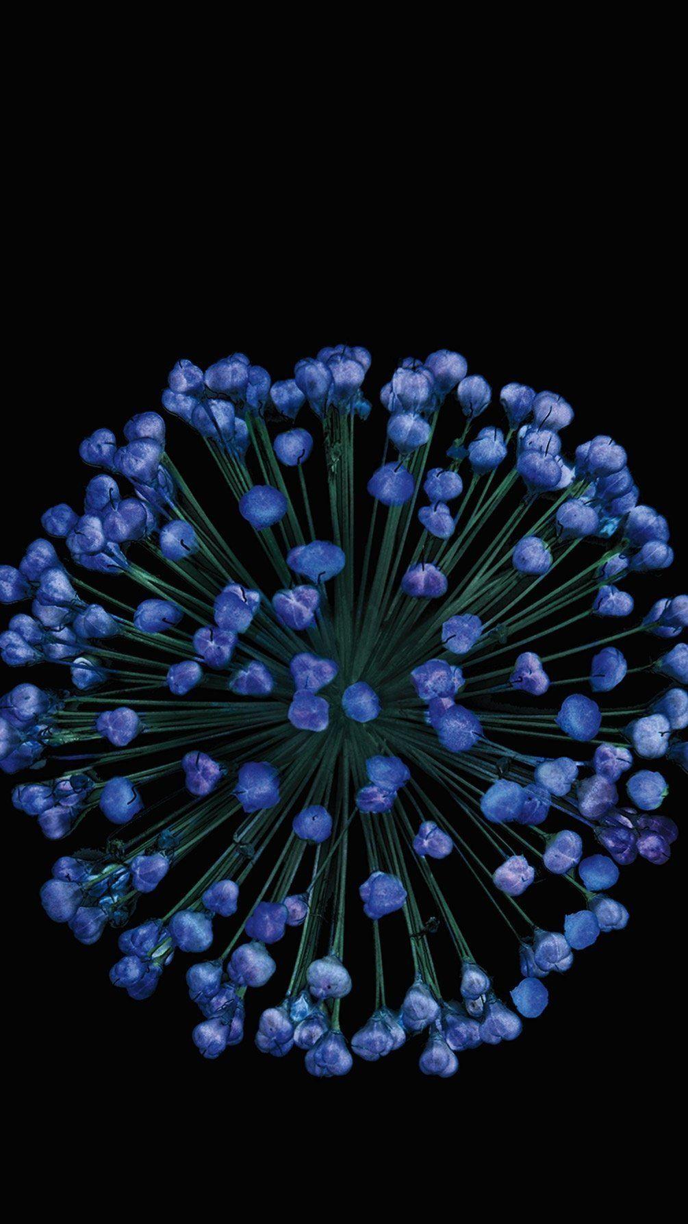 IOS 9 Wallpapers - Top Free IOS 9 Backgrounds - WallpaperAccess