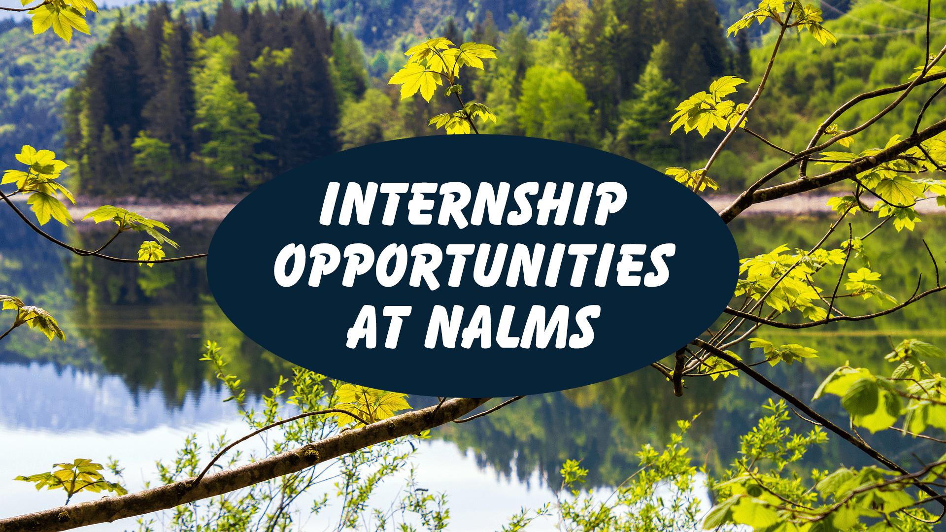 Internship Wallpapers - Top Free Internship Backgrounds - WallpaperAccess