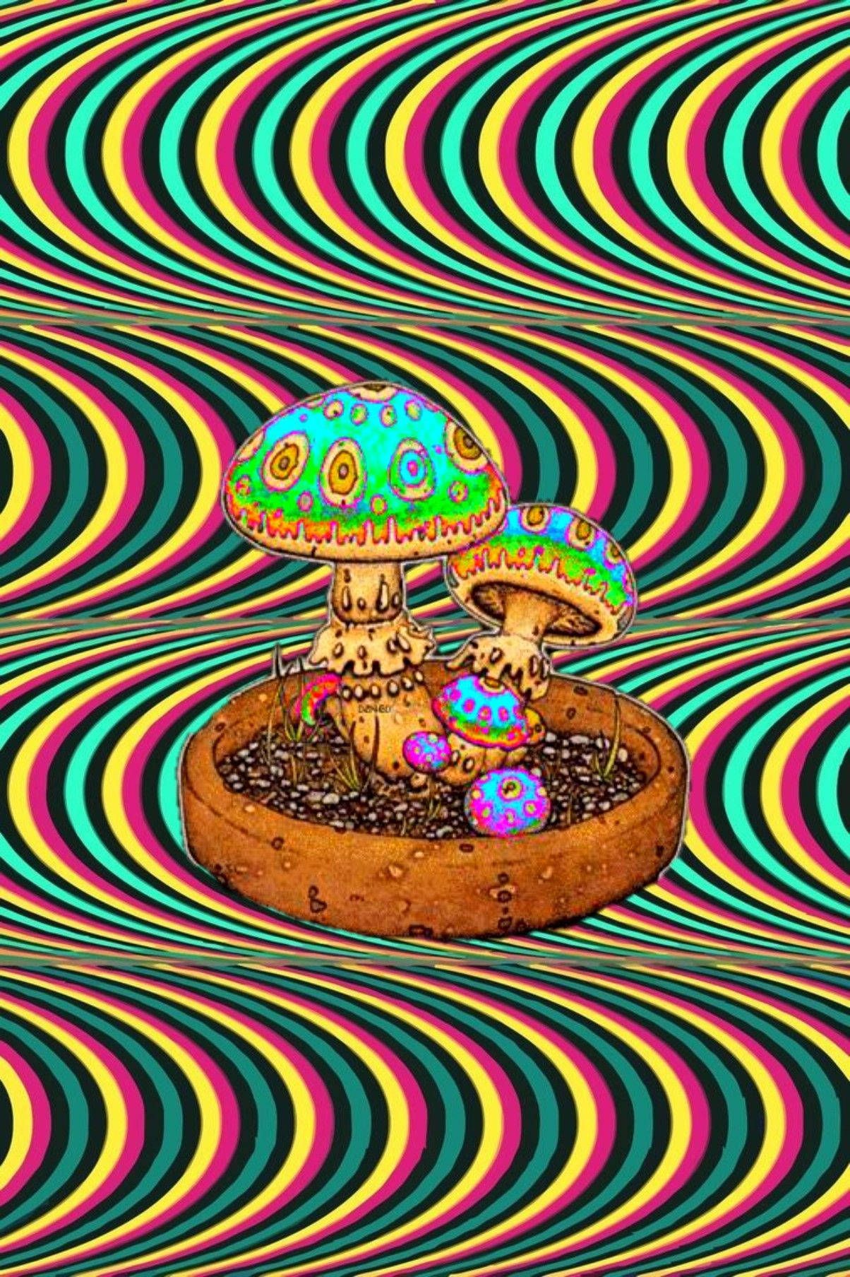 Good Trip Wallpapers - Top Free Good Trip Backgrounds - WallpaperAccess