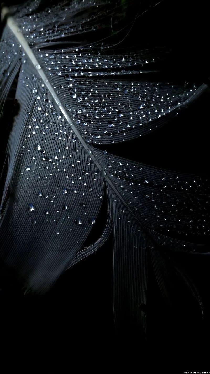 Black Full Screen Wallpapers - Top Free Black Full Screen Backgrounds ...