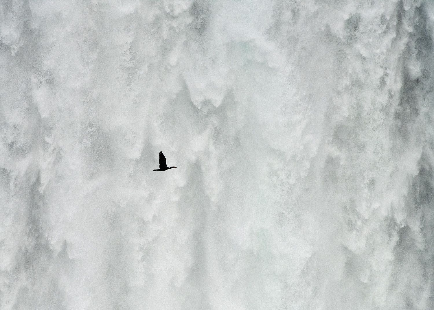 Vilen Wallpapers - Top Free Vilen Backgrounds - WallpaperAccess