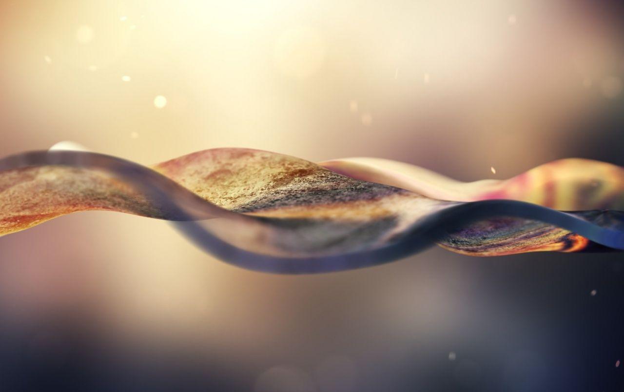 Macro Wallpapers - Top Free Macro Backgrounds - WallpaperAccess