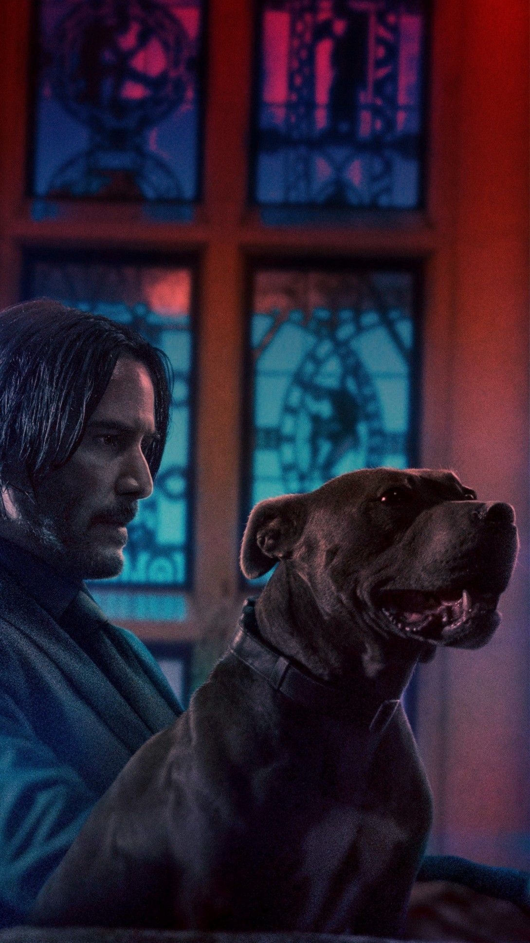 John Wick Dog Wallpapers - Top Free John Wick Dog Backgrounds ...