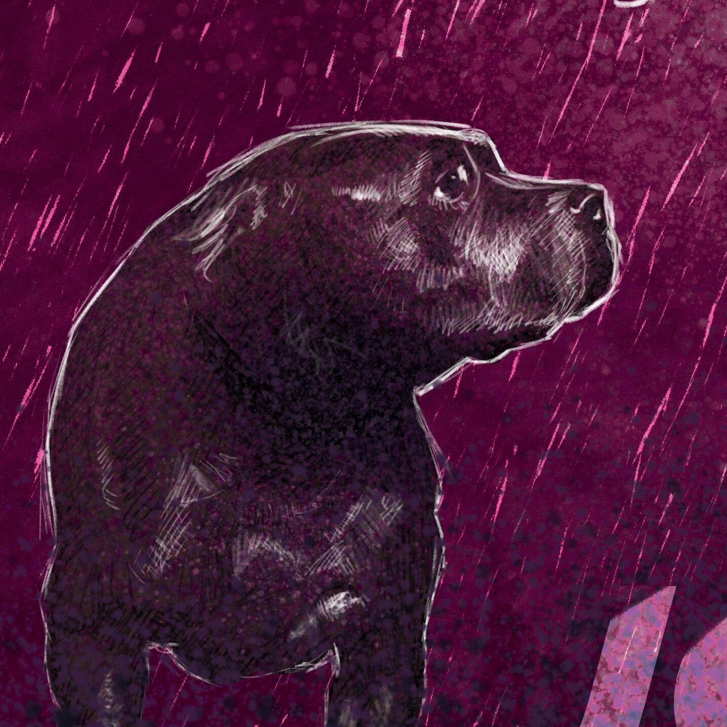 John Wick Dog Wallpapers - Top Free John Wick Dog Backgrounds ...