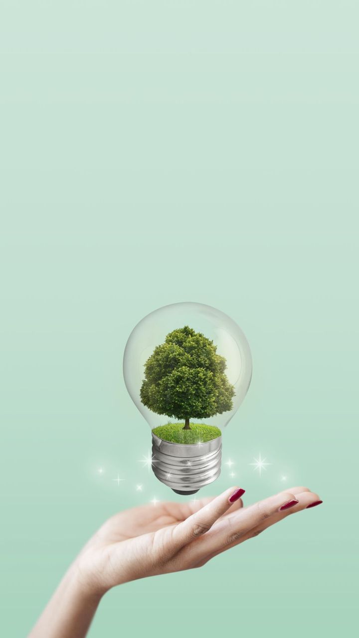 Green Environment Wallpapers - Top Free Green Environment Backgrounds ...