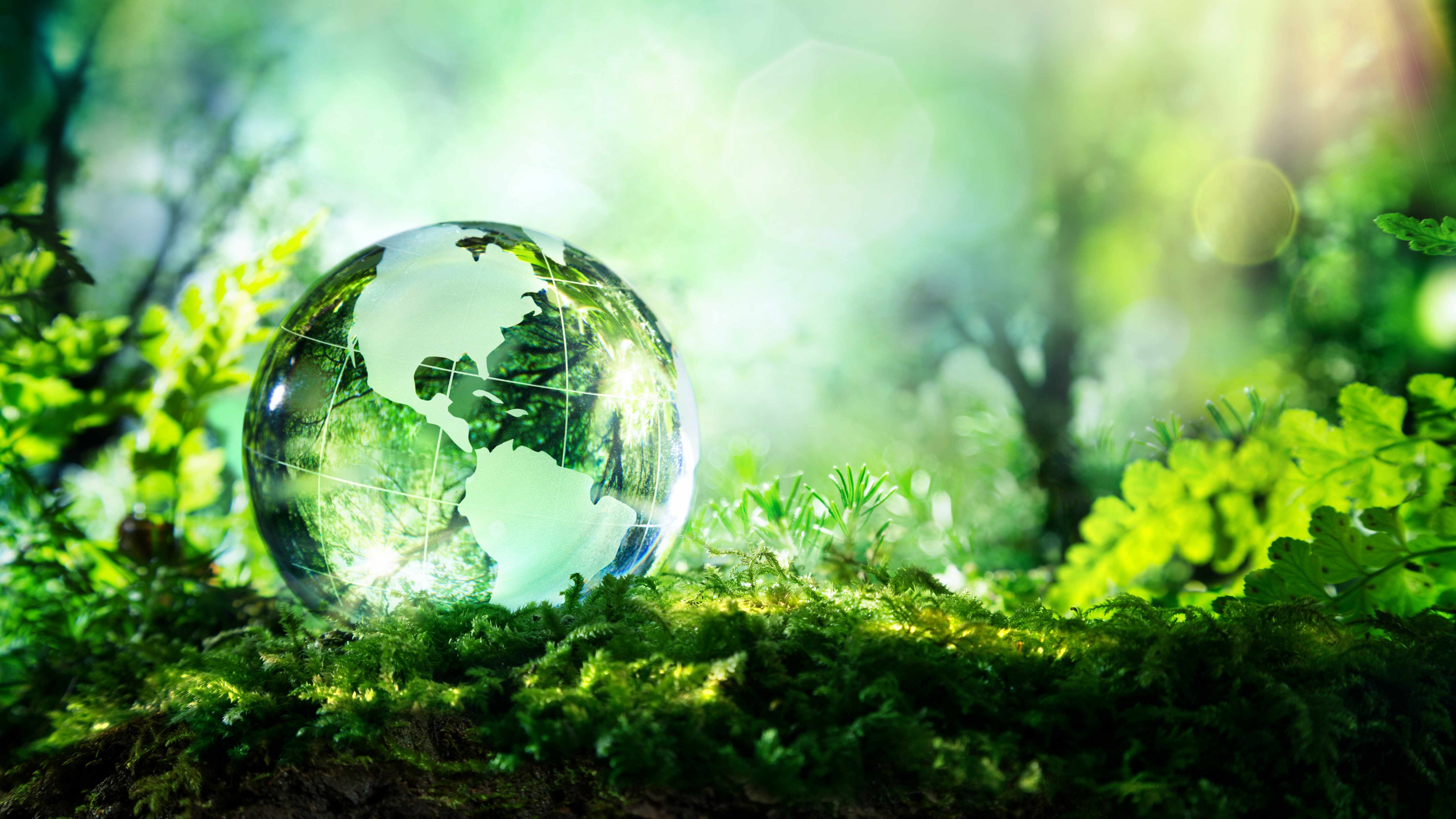 Green Environment Wallpapers - Top Free Green Environment Backgrounds ...