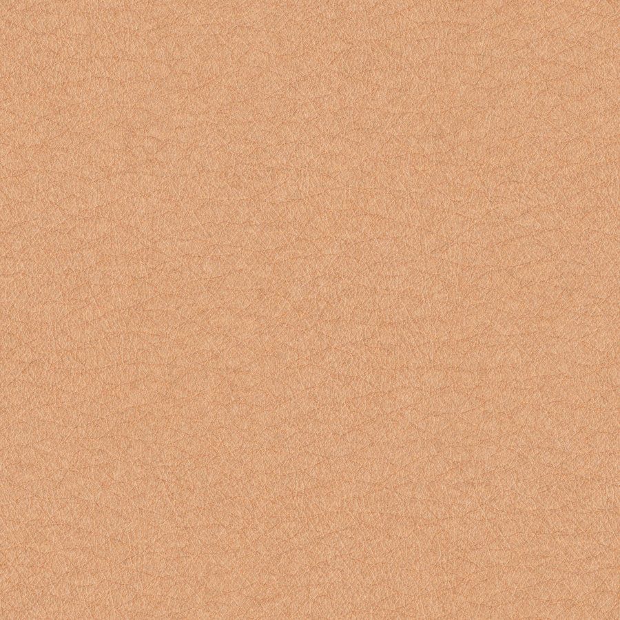 Human Skin Wallpapers - Top Free Human Skin Backgrounds - WallpaperAccess