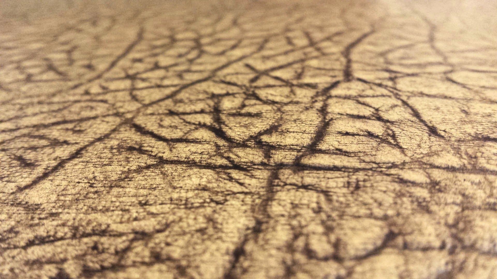 Human Skin Wallpapers - Top Free Human Skin Backgrounds - WallpaperAccess