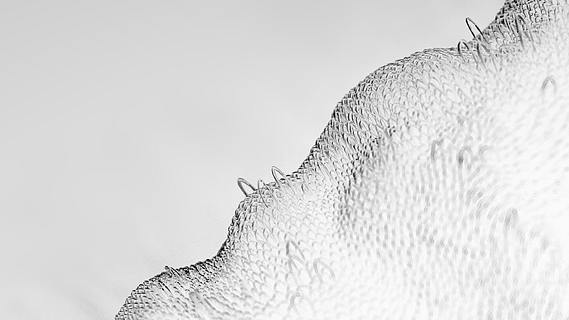 Human Skin Wallpapers - Top Free Human Skin Backgrounds - WallpaperAccess