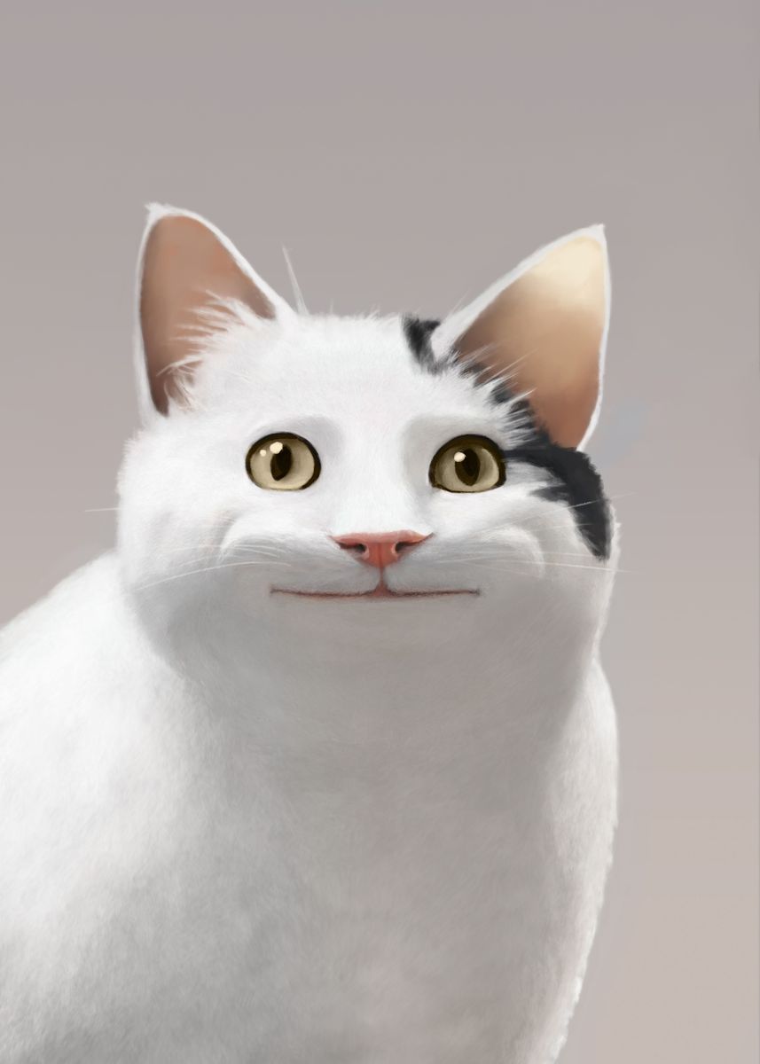 Polite Cat Wallpapers - Top Free Polite Cat Backgrounds - WallpaperAccess