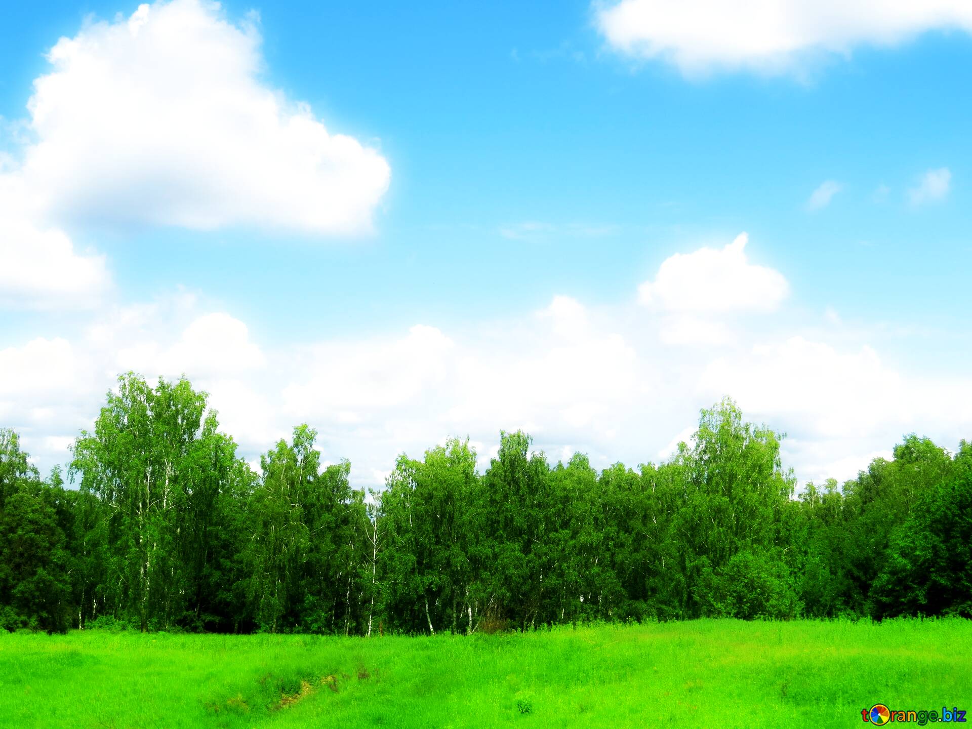 Green View Wallpapers - Top Free Green View Backgrounds - WallpaperAccess