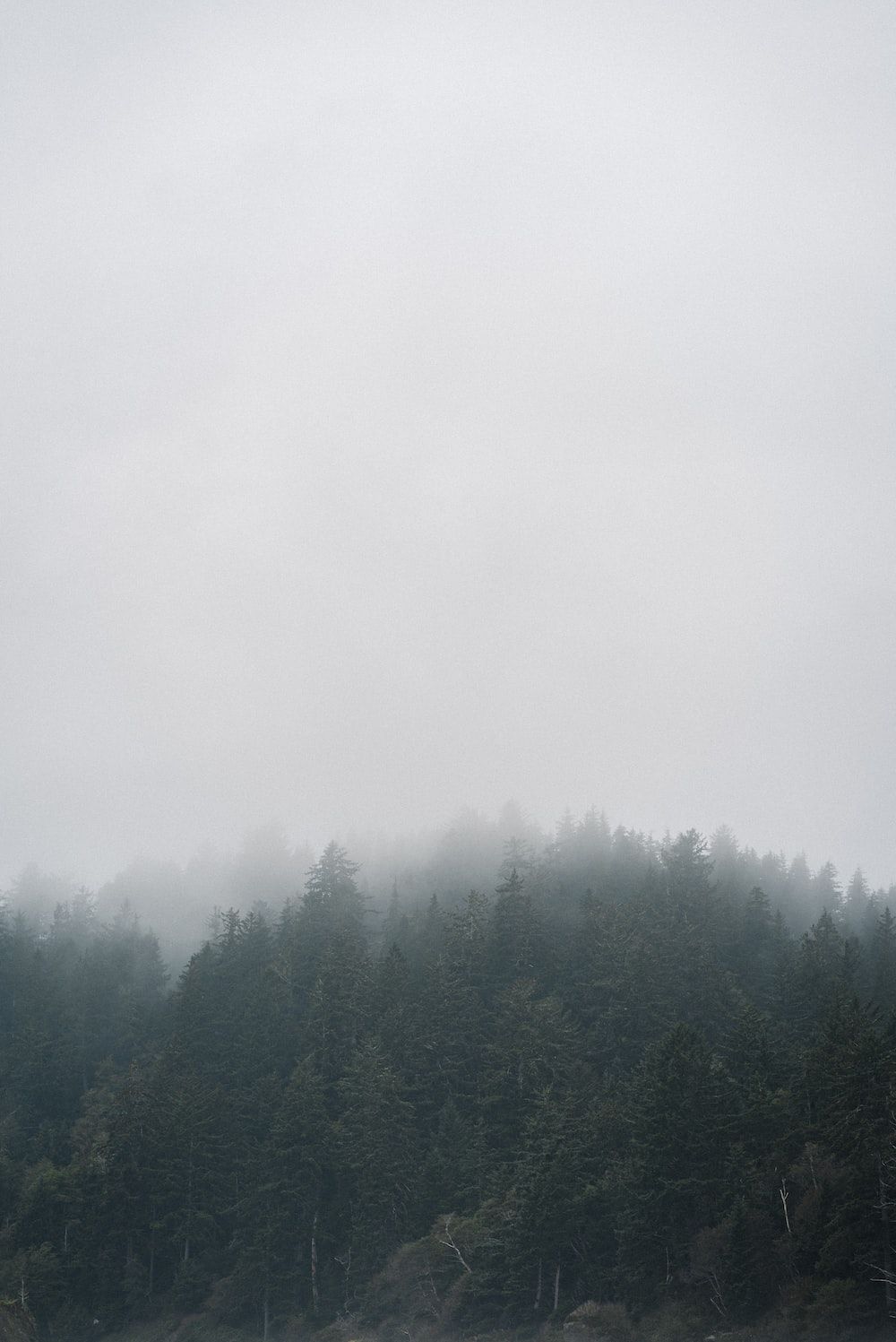 Hazy Wallpapers Top Free Hazy Backgrounds Wallpaperaccess
