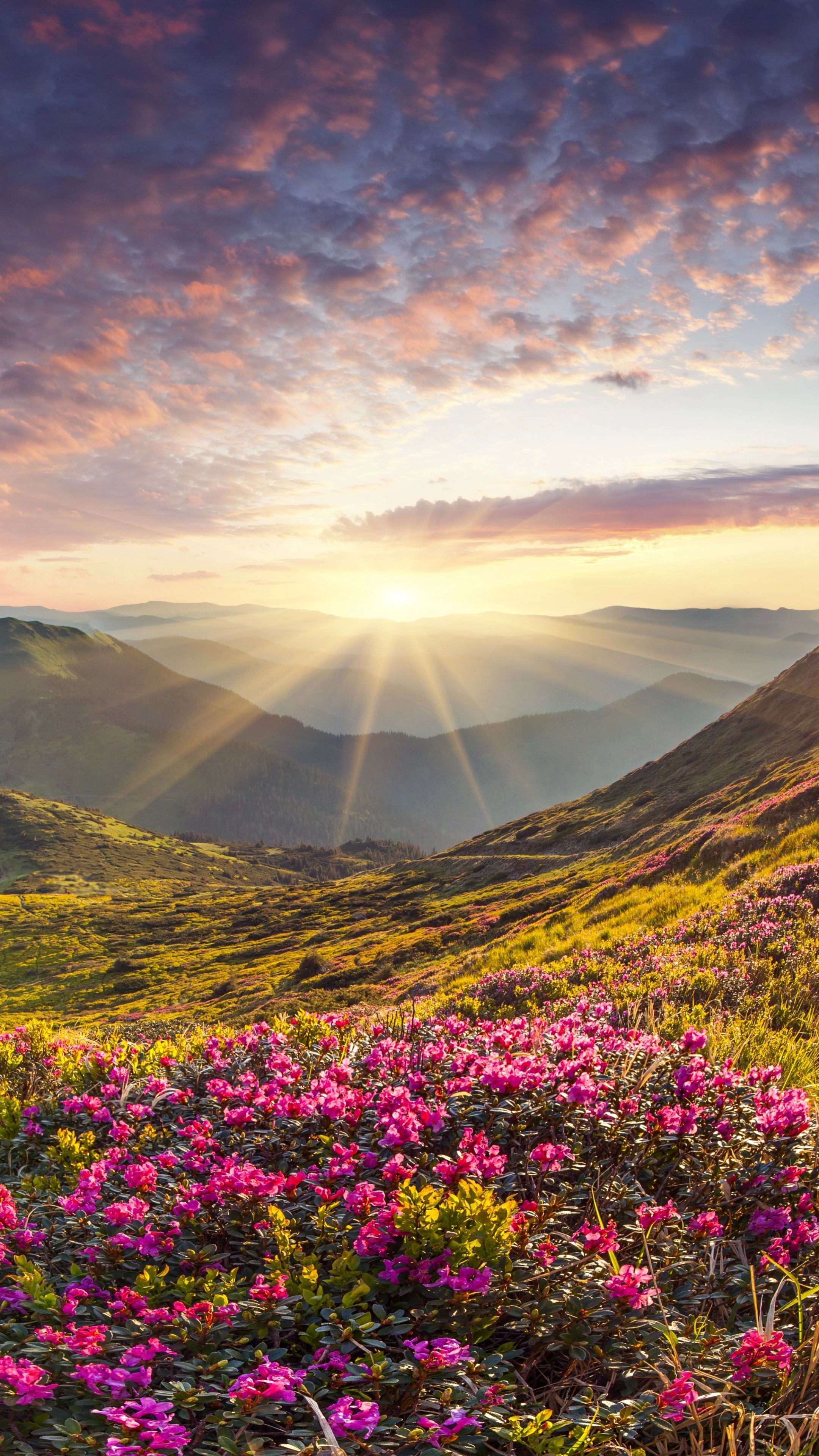 Landscape Mobile Wallpapers - Top Free Landscape Mobile Backgrounds ...