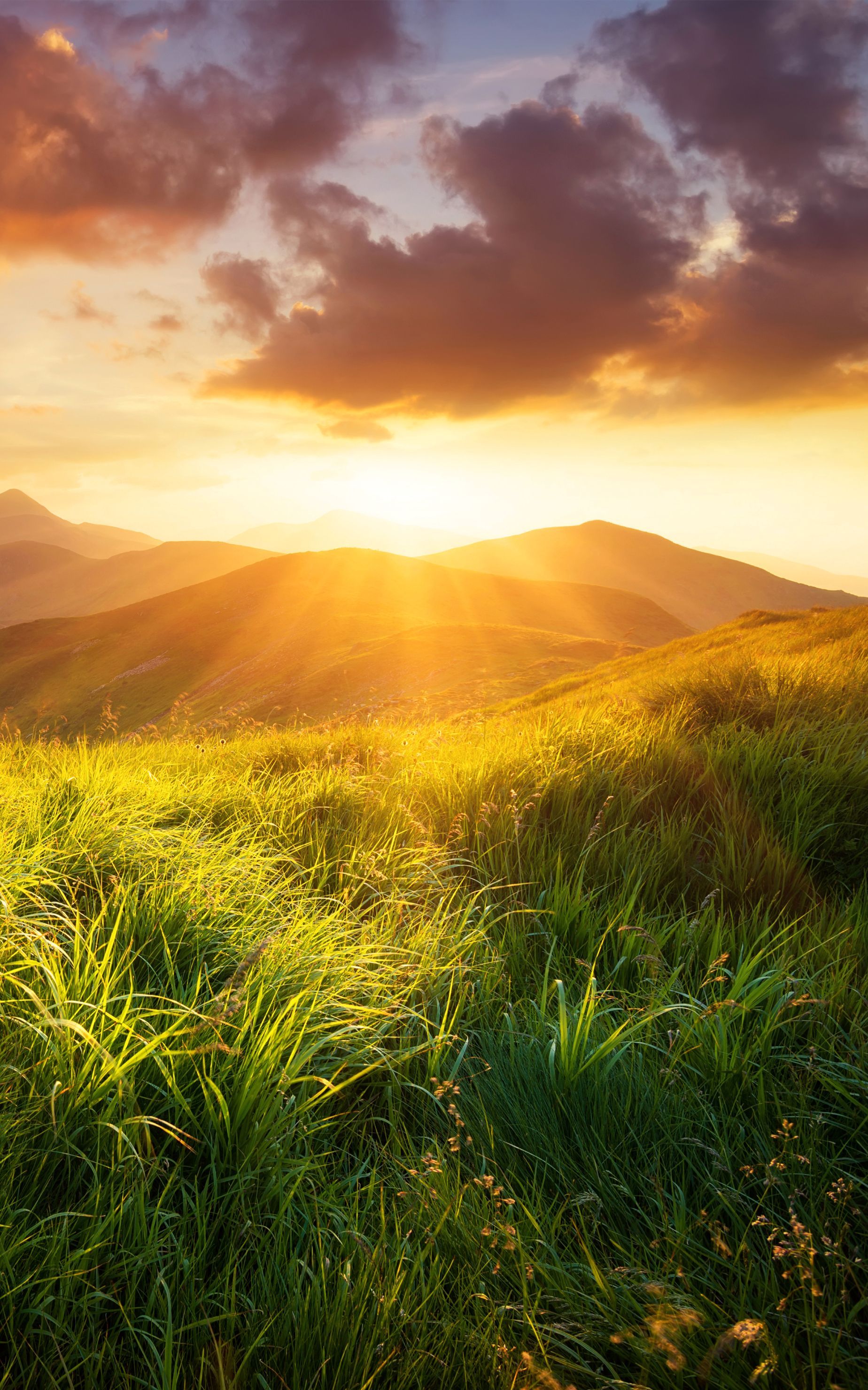 Landscape Mobile Wallpapers - Top Free Landscape Mobile Backgrounds ...