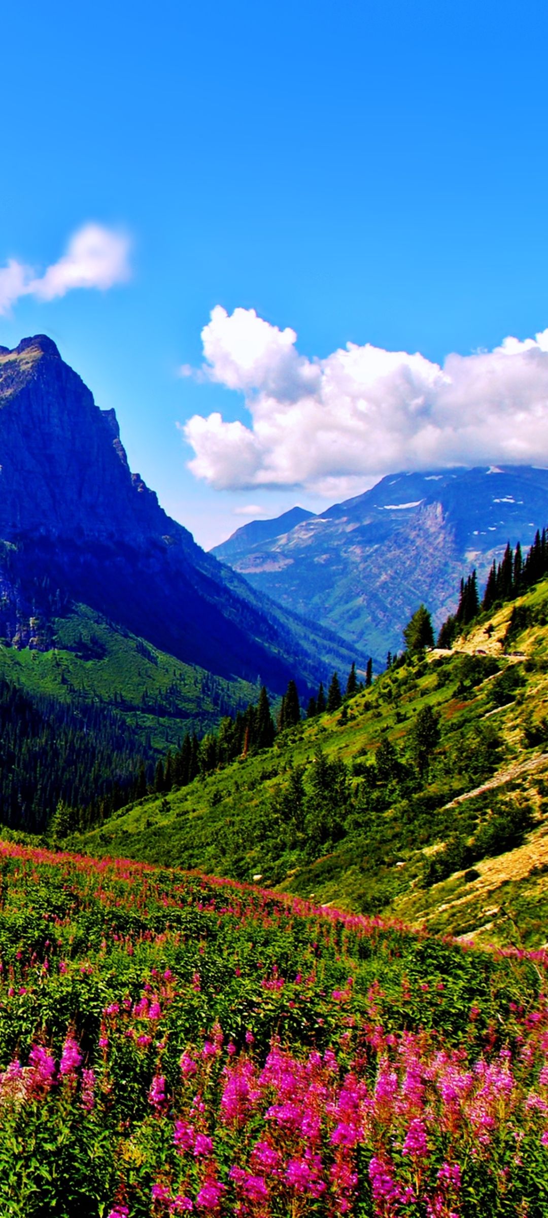 Landscape Mobile Wallpapers - Top Free Landscape Mobile Backgrounds ...