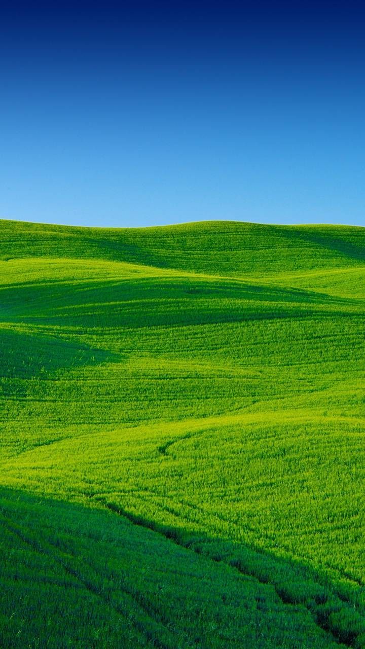 Filed Wallpapers - Top Free Filed Backgrounds - WallpaperAccess