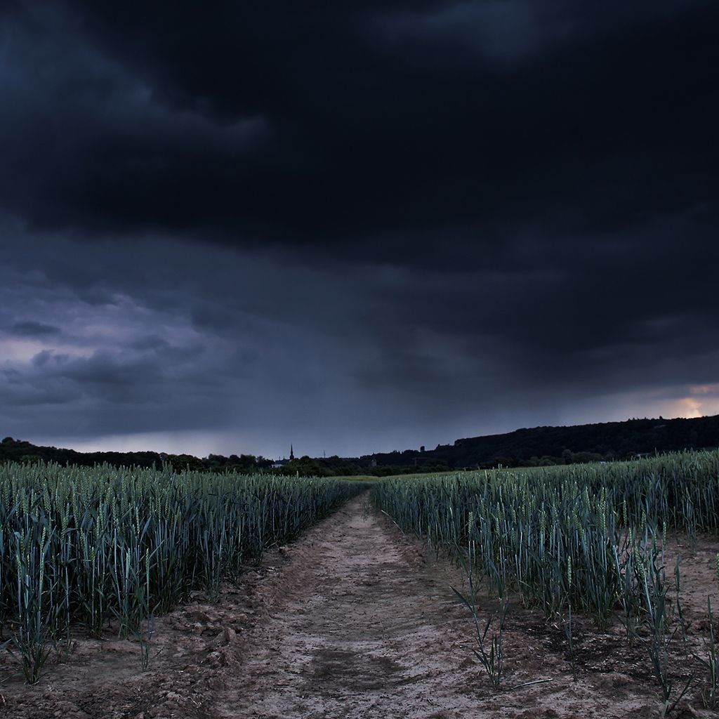 Filed Wallpapers - Top Free Filed Backgrounds - WallpaperAccess