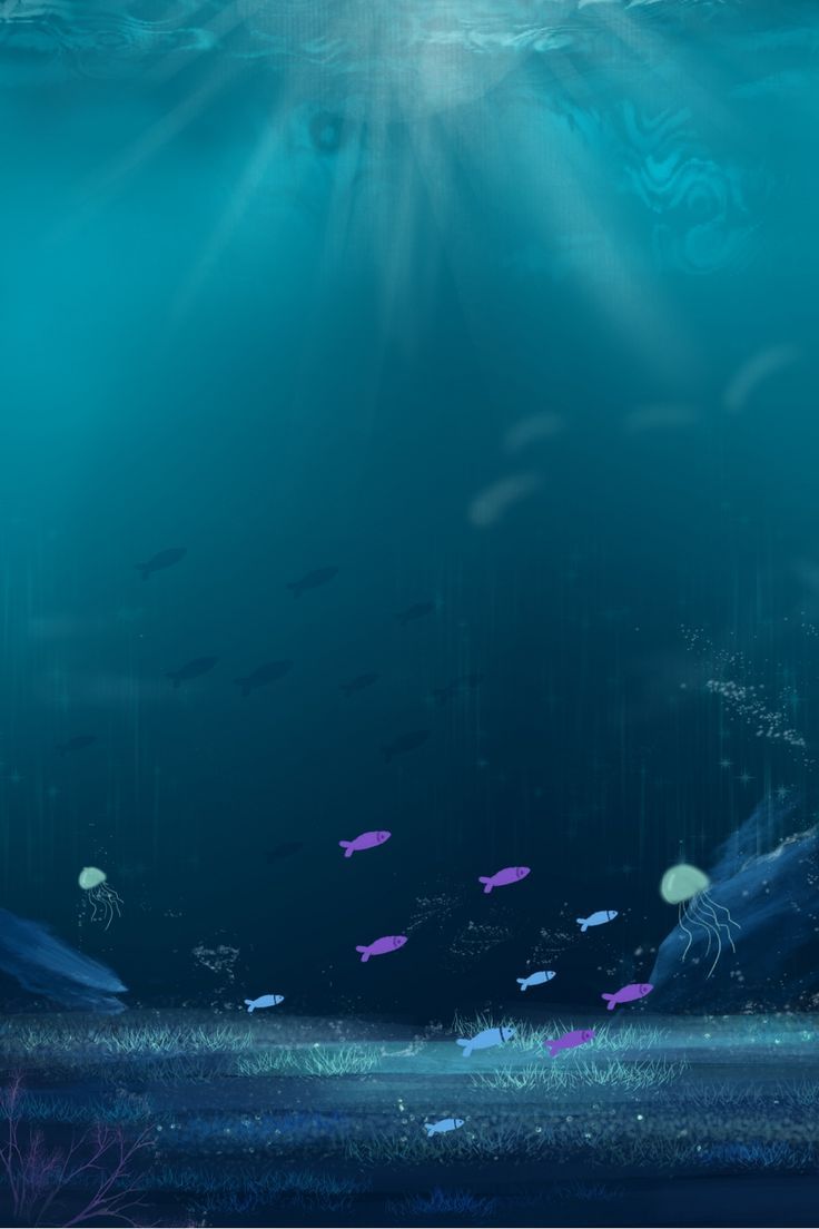 Sea bottom Wallpapers - Top Free Sea bottom Backgrounds - WallpaperAccess