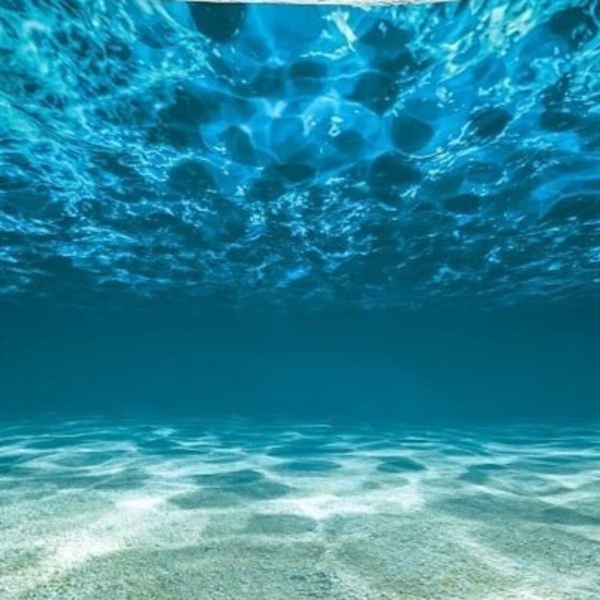 Sea bottom Wallpapers - Top Free Sea bottom Backgrounds - WallpaperAccess