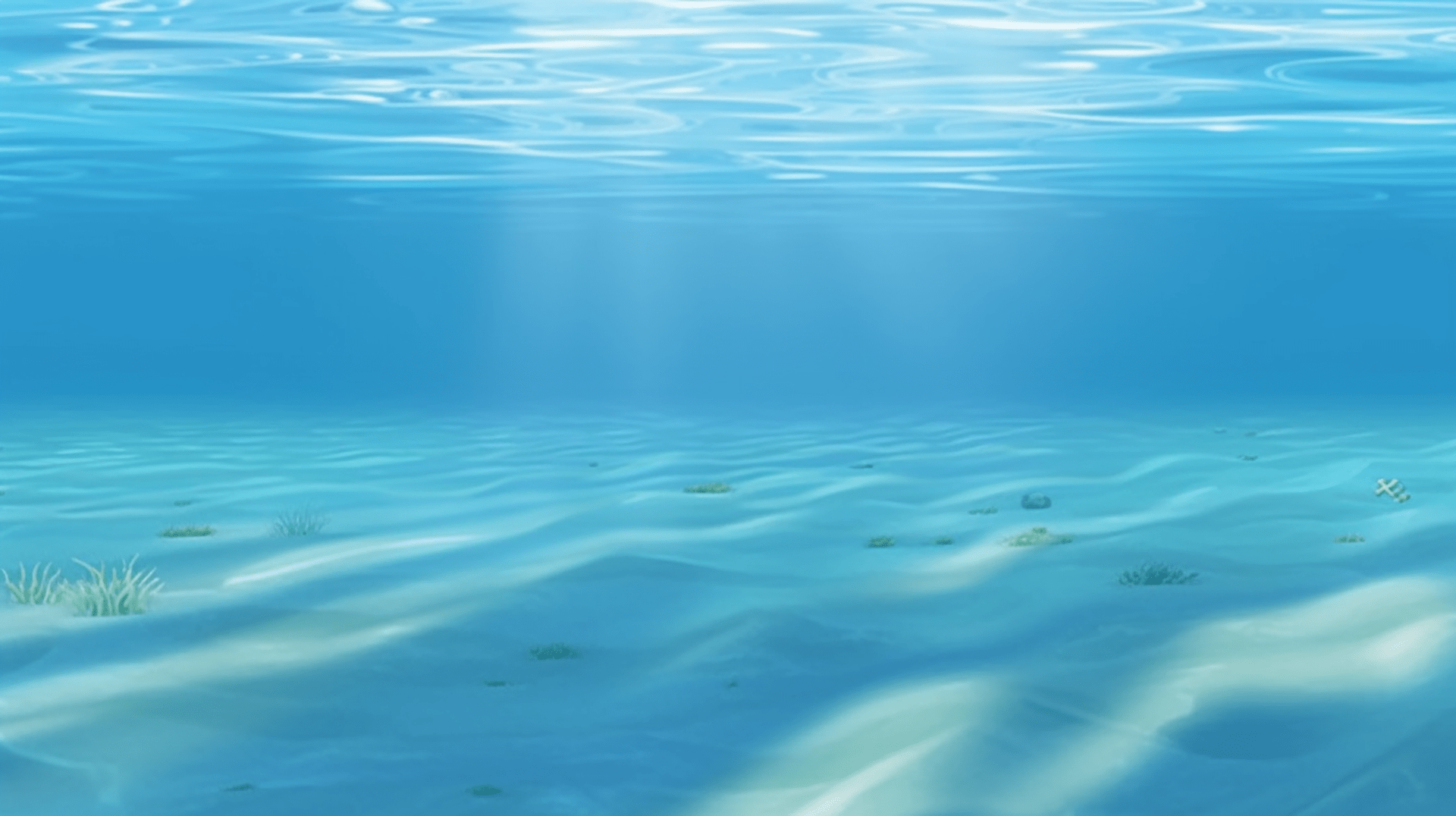 Sea bottom Wallpapers - Top Free Sea bottom Backgrounds - WallpaperAccess