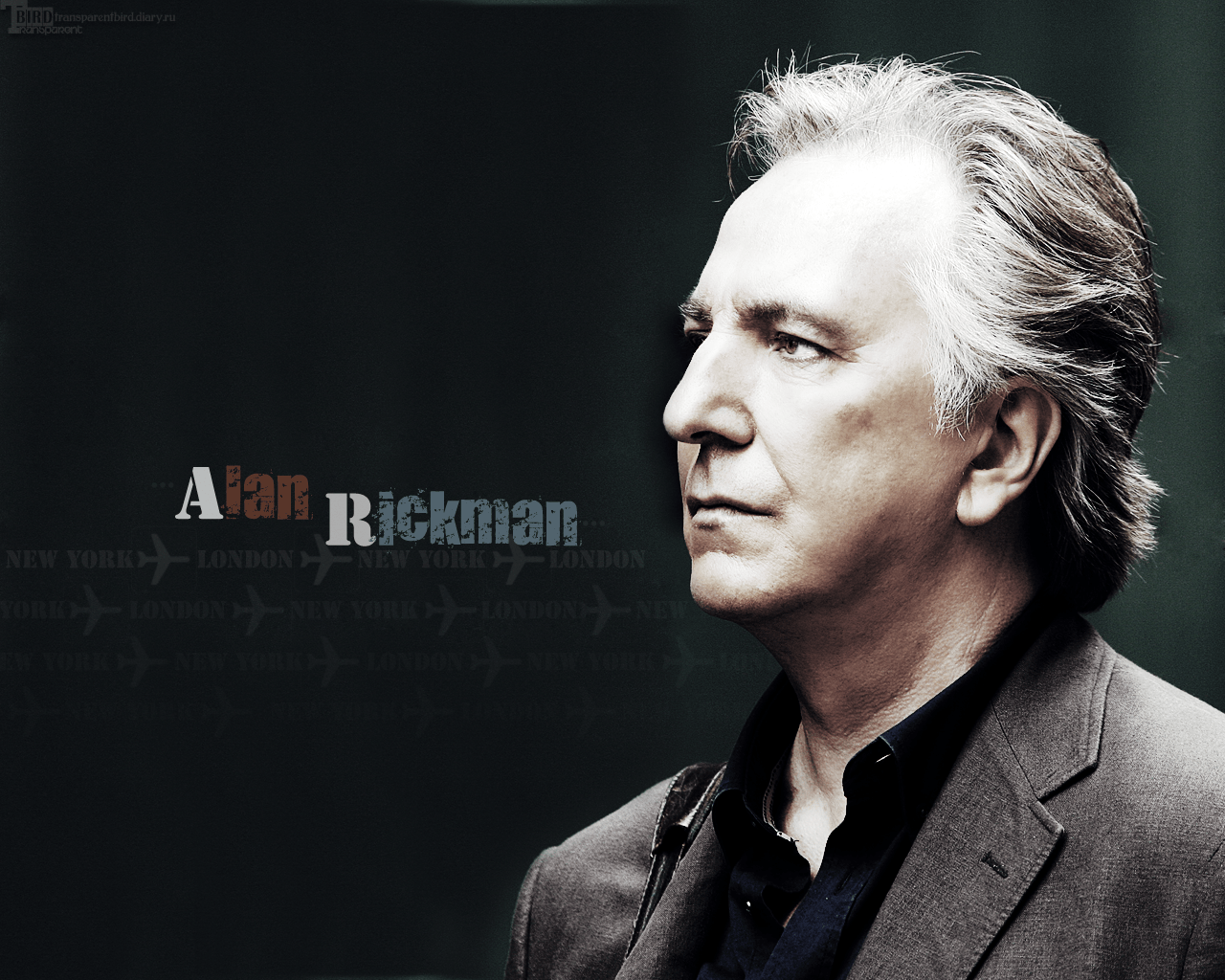 Alan Rickman Wallpapers - Top Free Alan Rickman Backgrounds ...