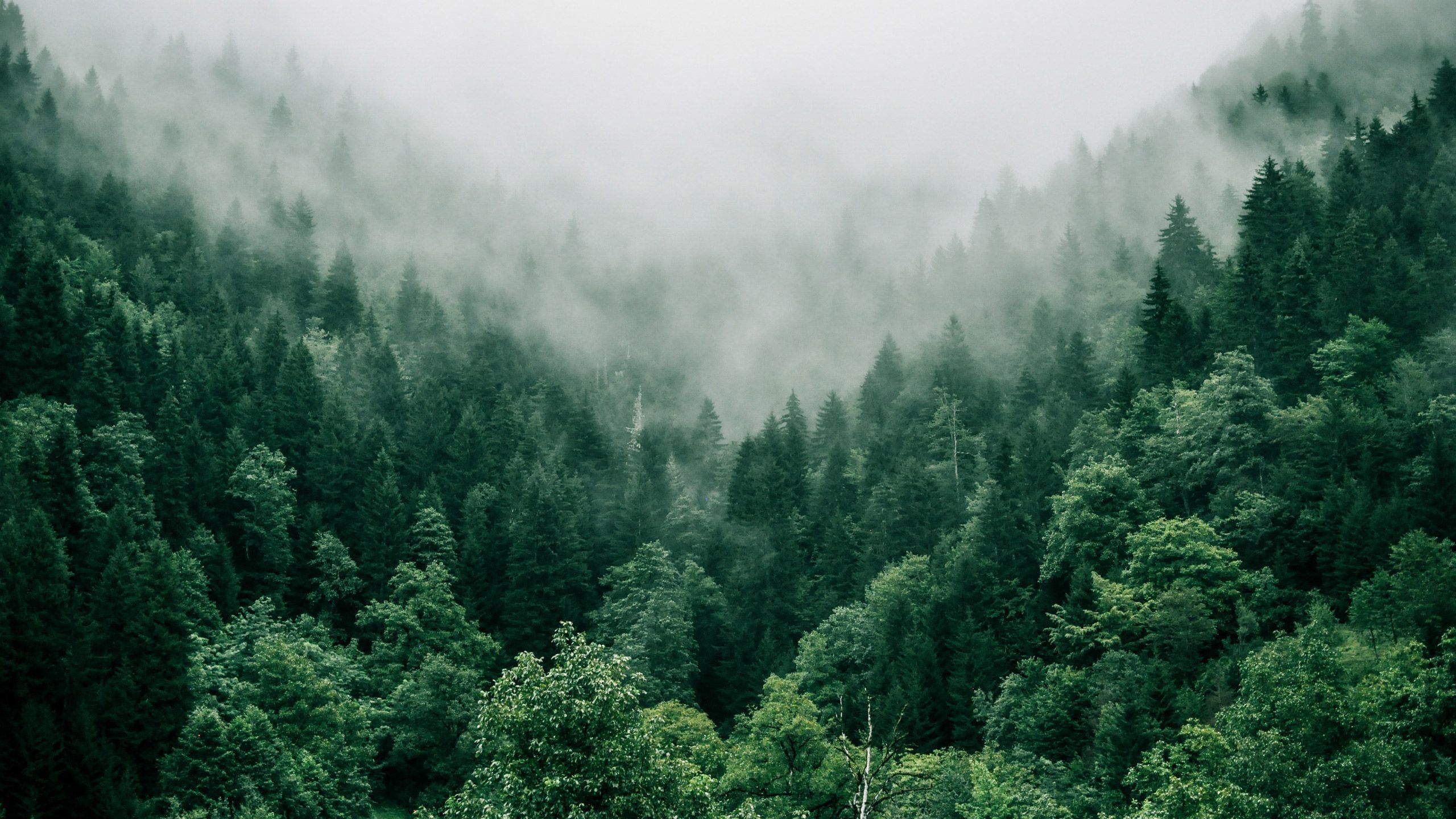 Natural Resources Wallpapers - Top Free Natural Resources Backgrounds ...